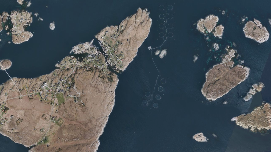 Products and services at Oceanbox