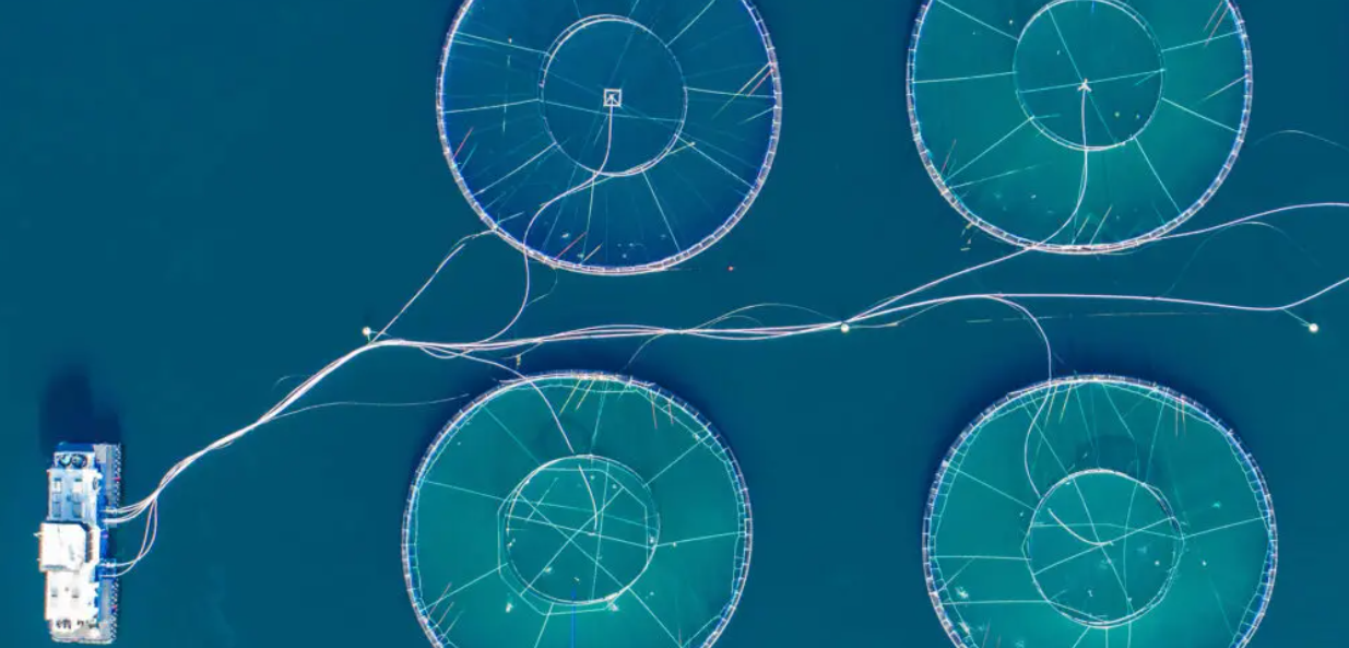 In the press – read the latest news and articles